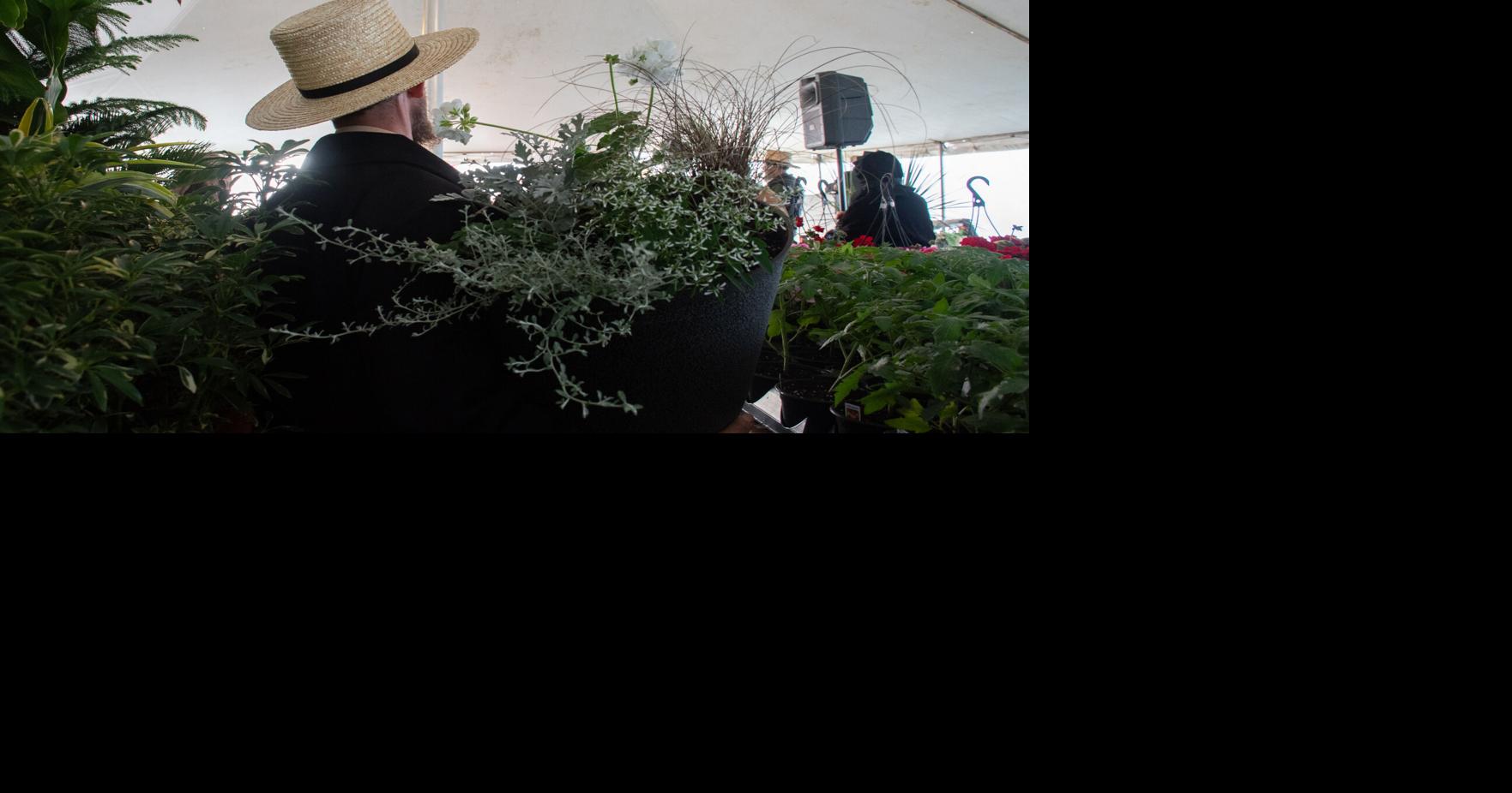 No autism among the Amish? Lancaster County experts respond to Trump ...