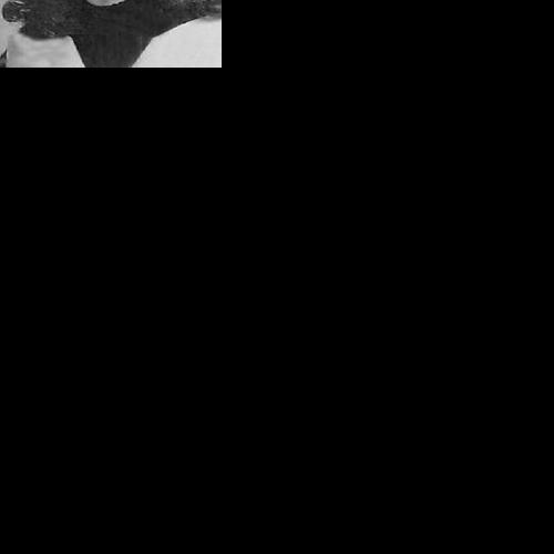 Kimberly Ann Taylor Zielinski | Obituaries | lancasteronline.com