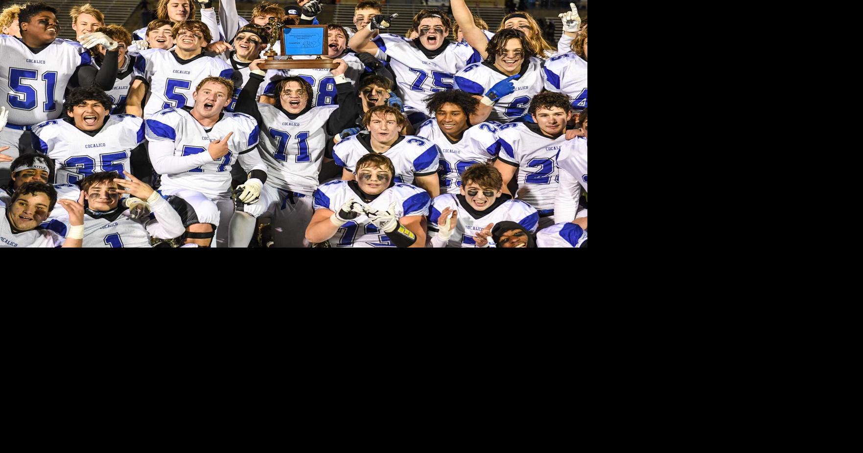 Expanded L-L League evened football playing field in Year One | High ...