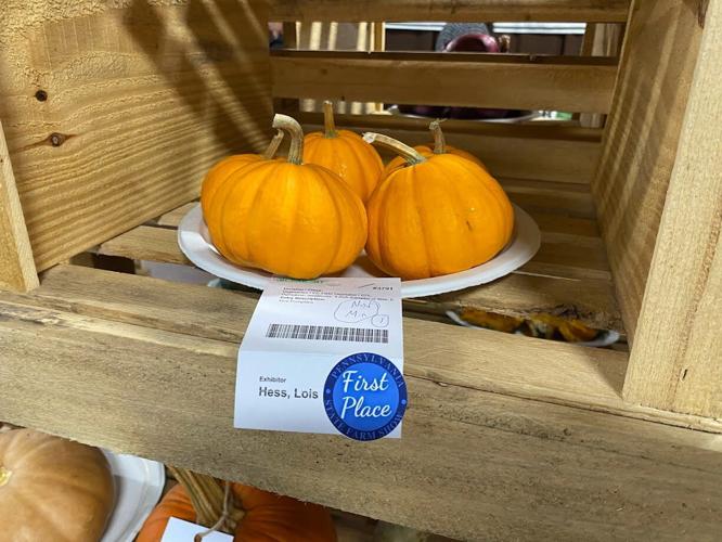 A taste of the 108th PA Farm Show [photos] | | lancasteronline.com