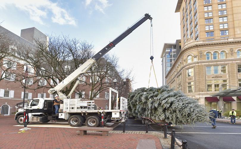 Christmas tree arrives in downtown Lancaster city [photos] | Local News ...