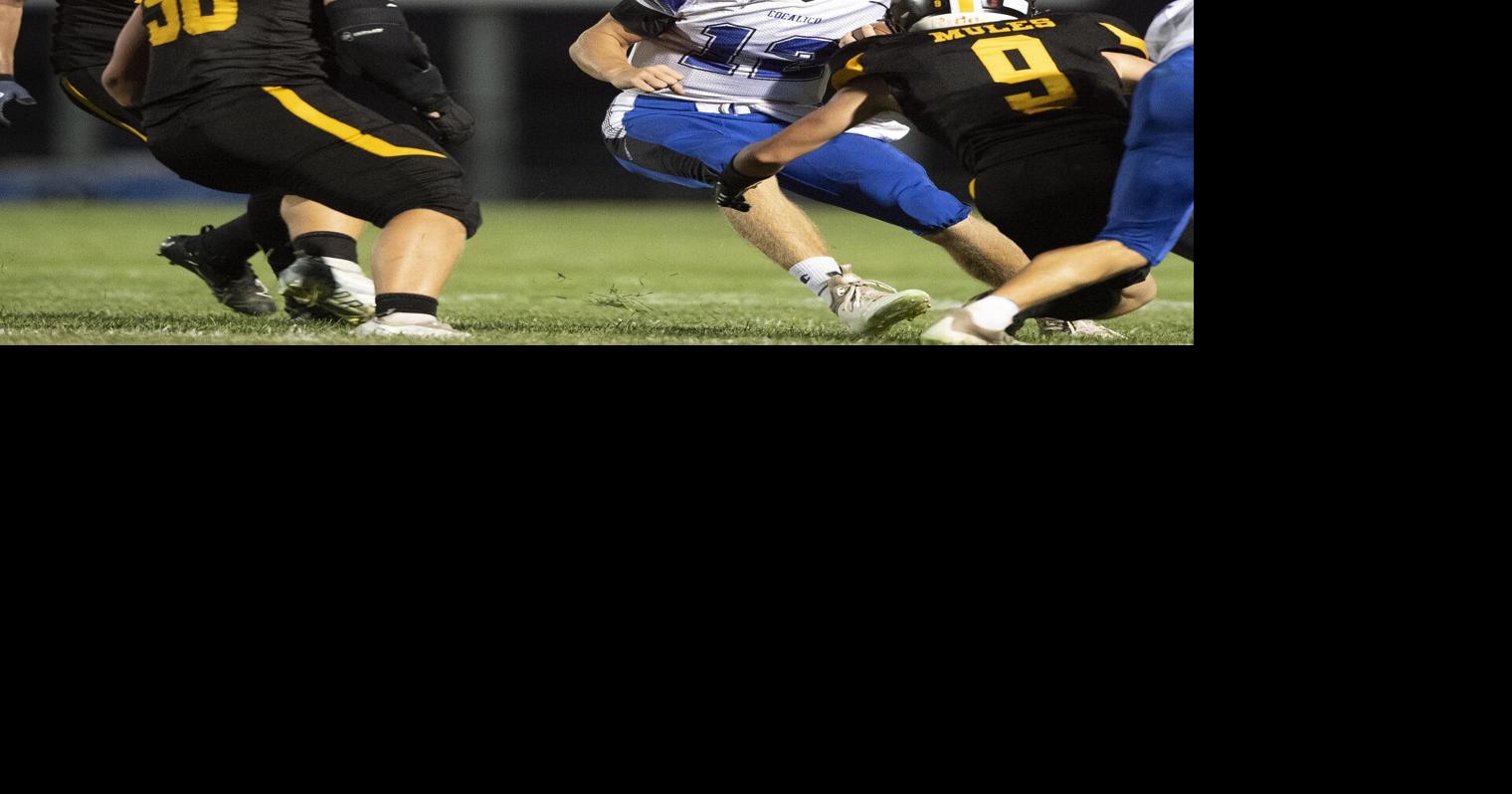 Cocalico, Wyomissing inching closer to PIAA showdowns: 3 L-L League ...