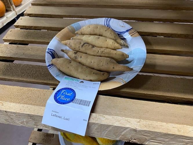 A taste of the 108th PA Farm Show [photos] | | lancasteronline.com