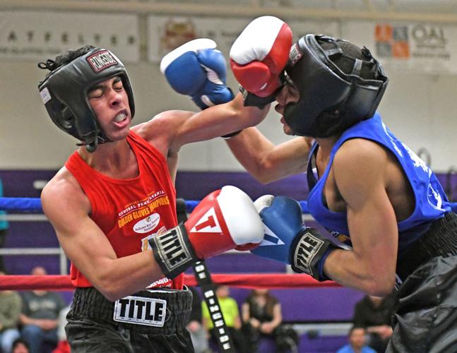 Golden Gloves action, March 9, 2019 | | lancasteronline.com