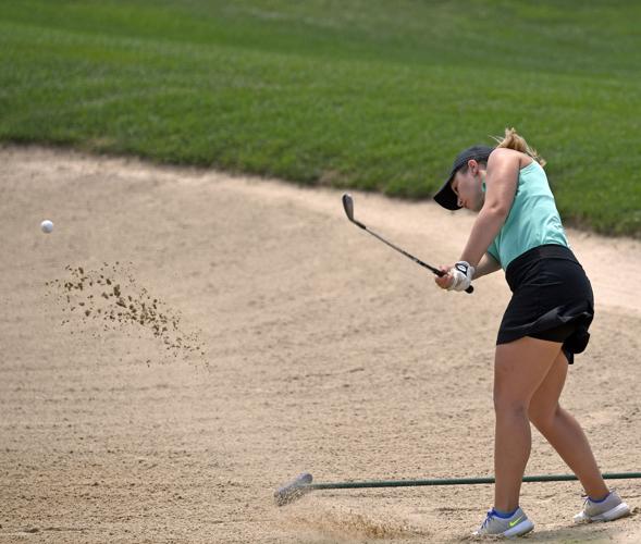 Gallery: LLCCGA Amateur | | lancasteronline.com