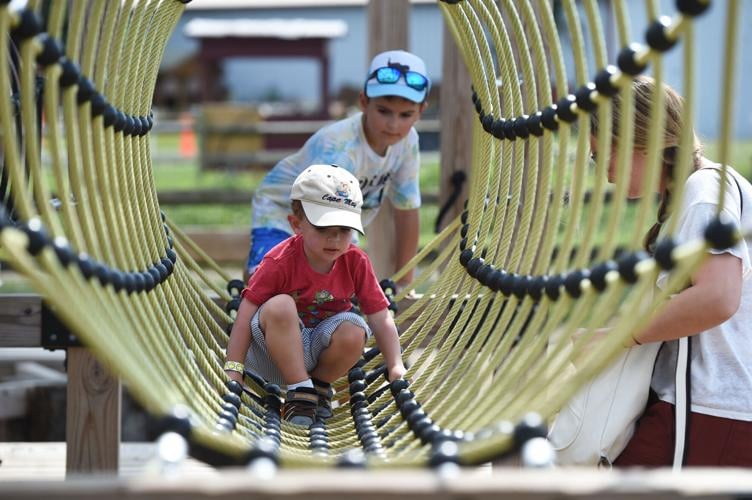Explore the Cherry Crest Adventure Farm [photos] | | lancasteronline.com