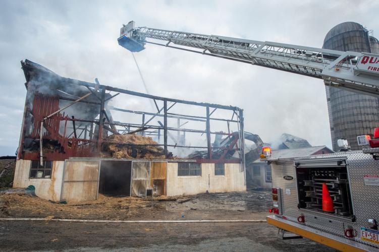 Firefighters save 3 trapped cows while battling barn fire in Colerain ...