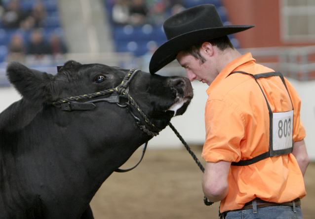 Photos: Solanco residents visit, compete at Farm Show | News ...