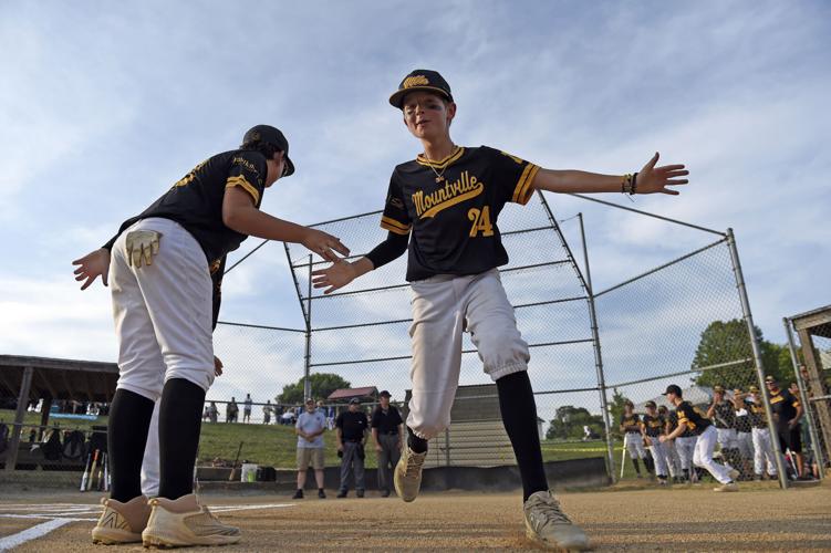Mountville Cubs vs. Manheim VFW - LNP Tournament 10U finals [photos ...