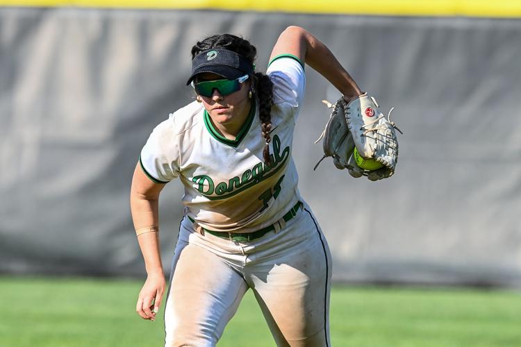 Annville-Cleona vs. Donegal - L-L League softball semifinals [photos ...