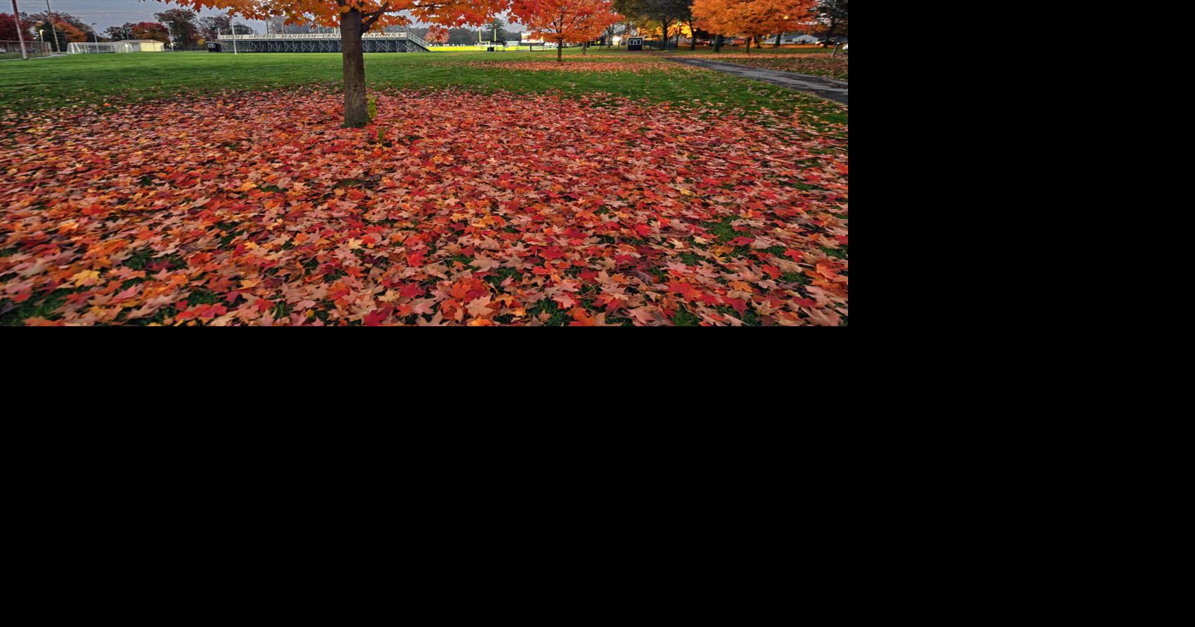 Fall foliage around Lancaster County as October comes to an end [photos ...
