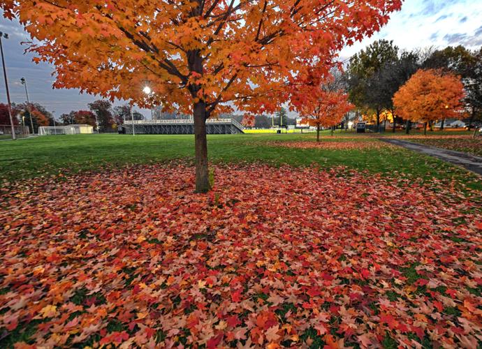 Fall foliage around Lancaster County as October comes to an end [photos] | Local News ...