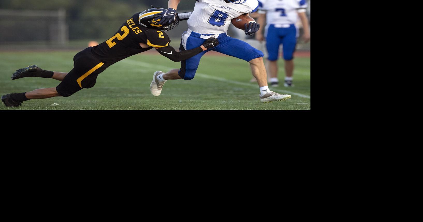 Manheim Central, Cocalico set to renew fierce rivalry: 3 L-L League ...