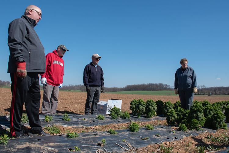 Lancaster Farmland Trust Farm to Pantry Project [photos ...