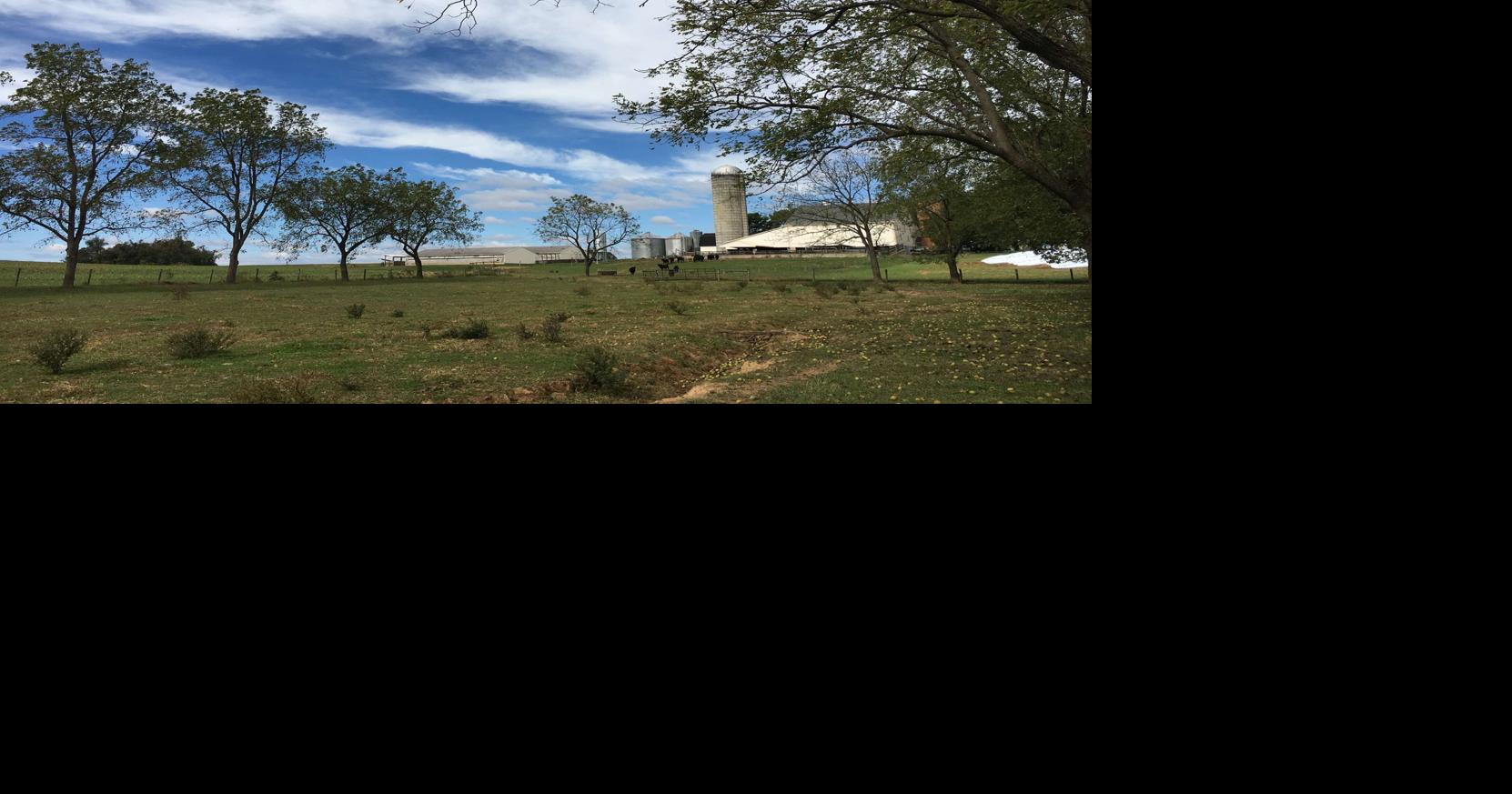 Family donates conservation easement for 217-acre Solanco farm, largest ...