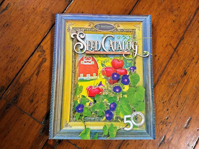 6 free seed catalogs, new plants for your 2025 garden | Home & Garden ...