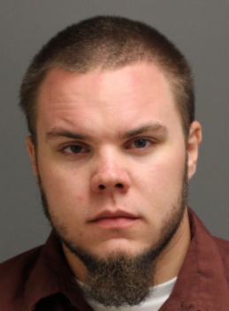 Man who pleaded guilty to killing girlfriend after Rapho Township crash cannot take back plea ...