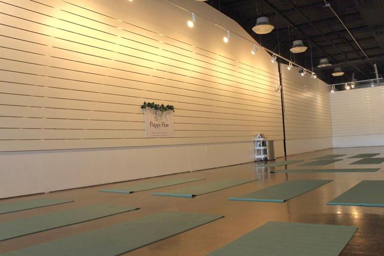 Puppy Flow to offer yoga with puppies in new Shops at Rockvale studio ...