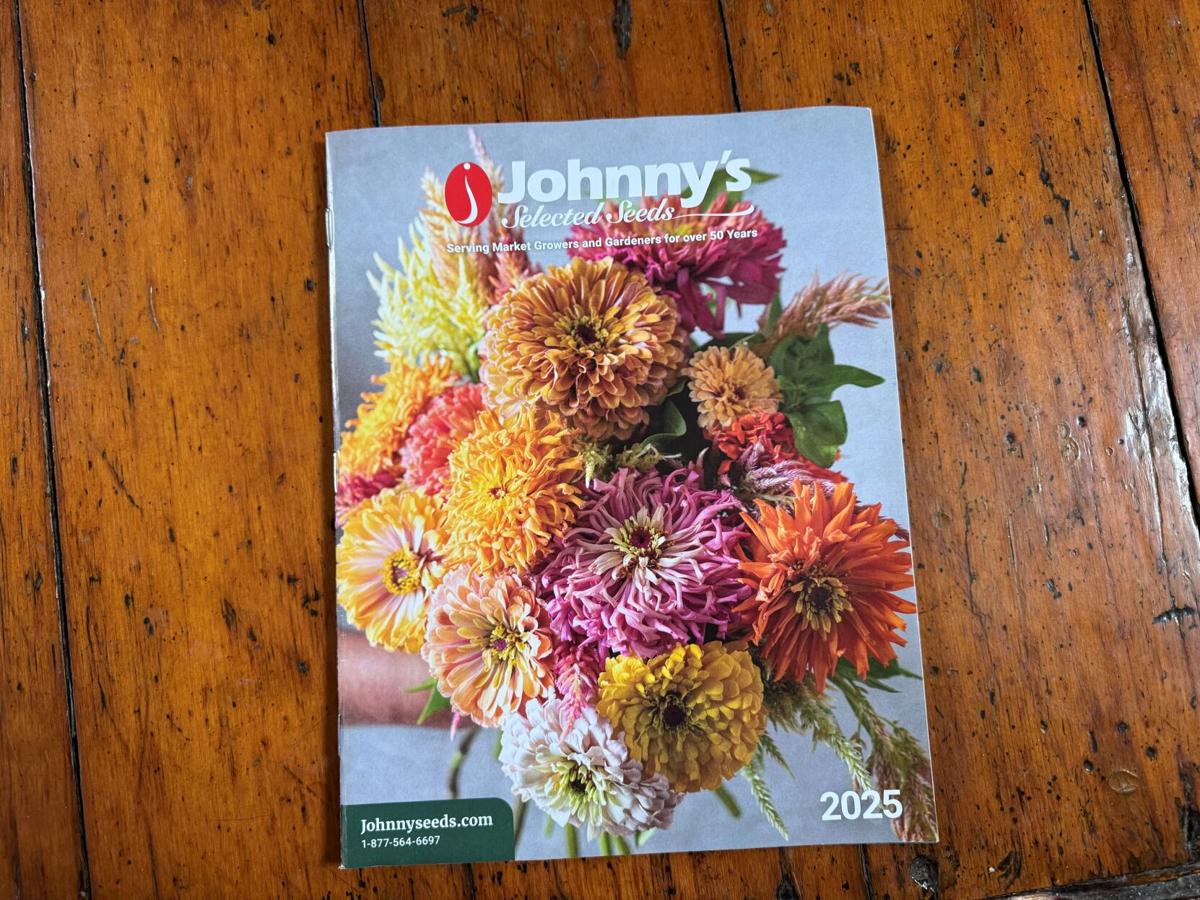6 free seed catalogs, new plants for your 2025 garden | Home & Garden ...