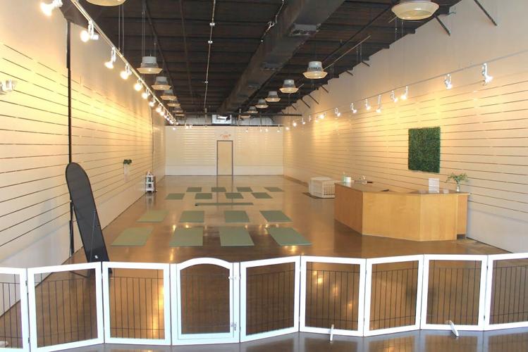 Puppy Flow to offer yoga with puppies in new Shops at Rockvale studio ...