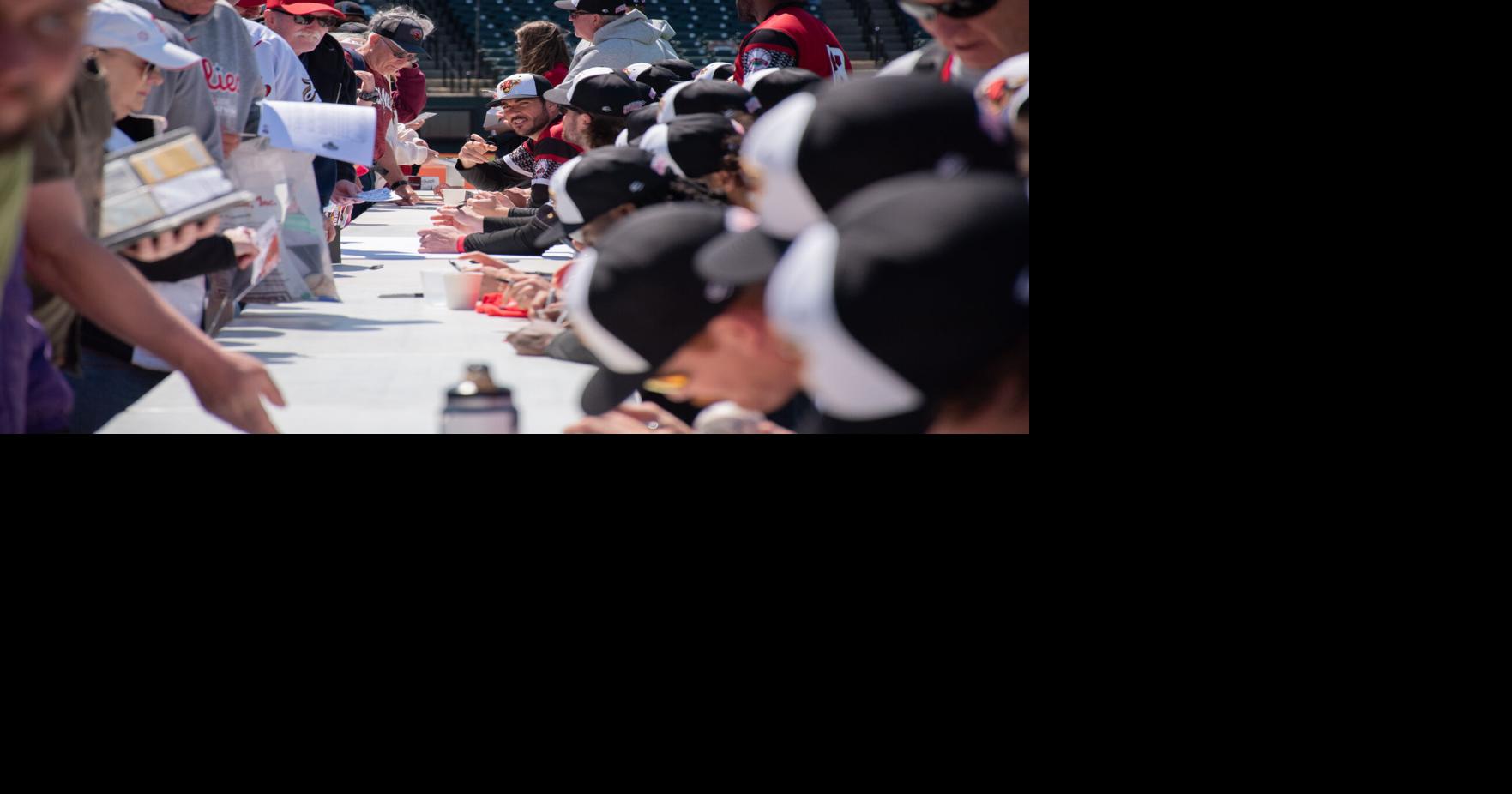 The Stormers are bigger. Will they be better? | Lancaster Barnstormers ...