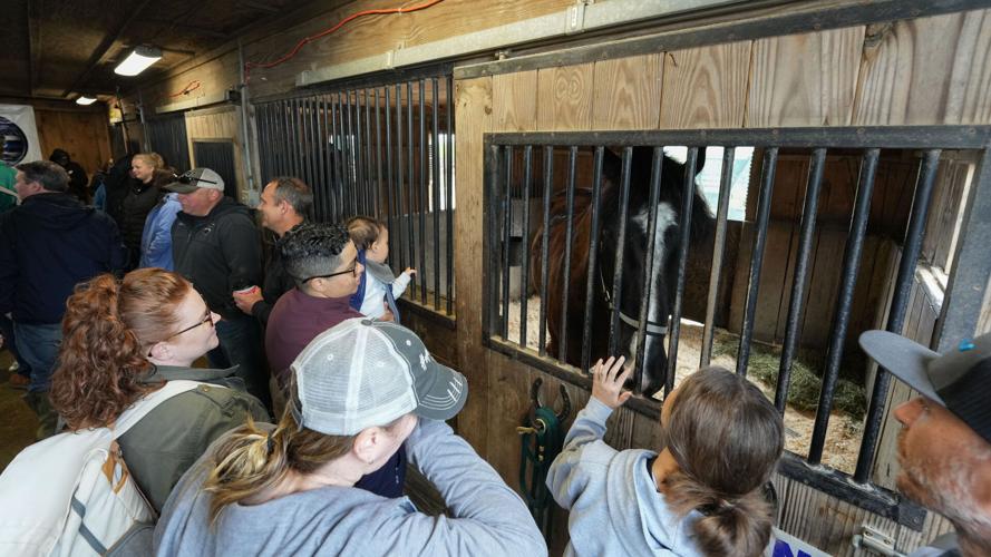 Lancaster police horse officers Liam and Ozzy head out to pasture at ...