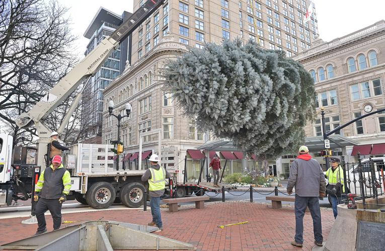 Christmas tree arrives in downtown Lancaster city [photos] | Local News ...