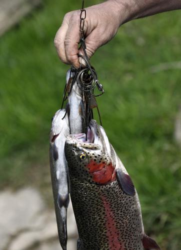 First Day of Trout Season in Lancaster County | News | lancasteronline.com