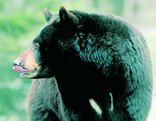 PASS THE WORD | Lifestyle | lancasteronline.com