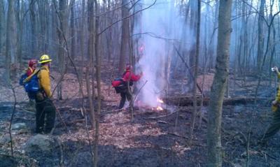 A new forest fire company is forming in northern Lancaster County ...