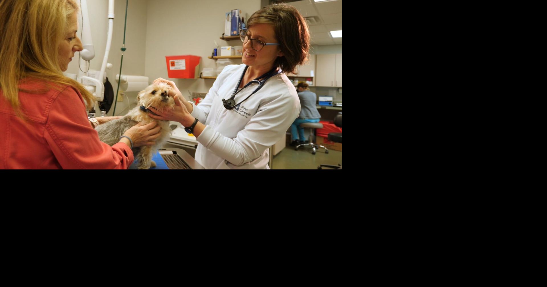 Pine Creek Animal Hospital moving to East Hempfield Twp.; New, larger ...