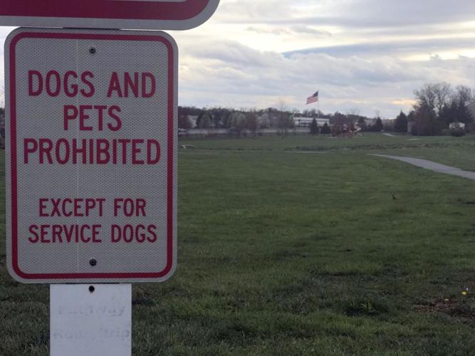 Lancaster Watchdog: 'Disappearing green lights' explained in Schaum's ...