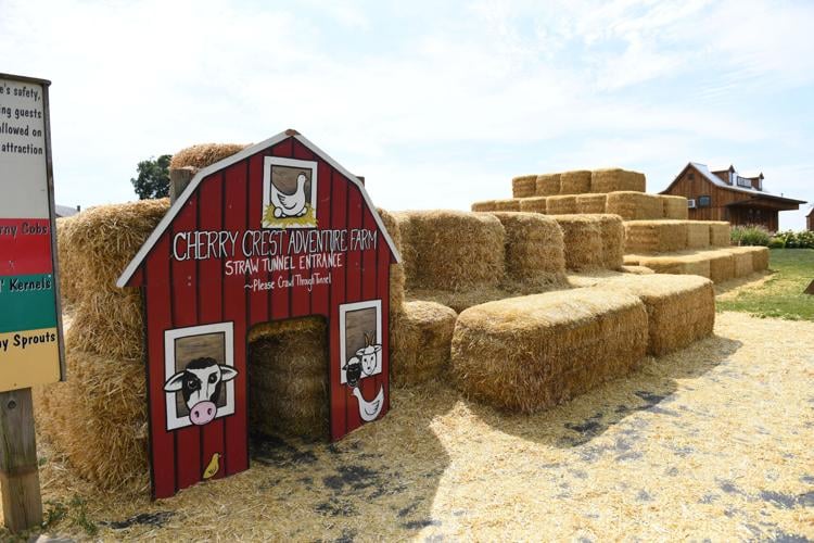 Explore the Cherry Crest Adventure Farm [photos] | | lancasteronline.com