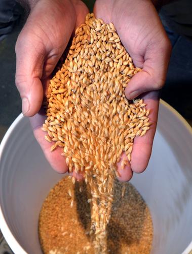 Wacker Brewery taps into Lancaster's beer heritage | Life & Culture ...