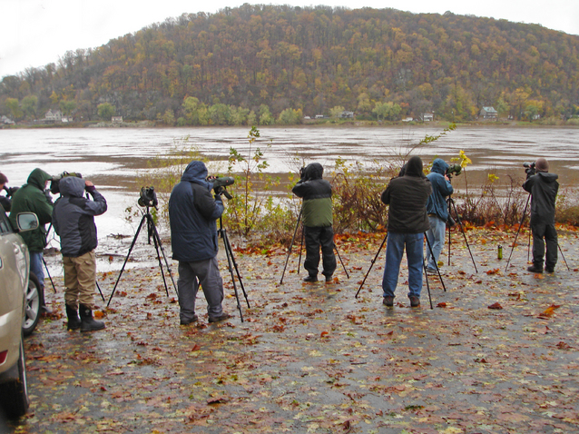 Local birders chase Hurricane Sandy for once-in-a-lifetime chance to ...