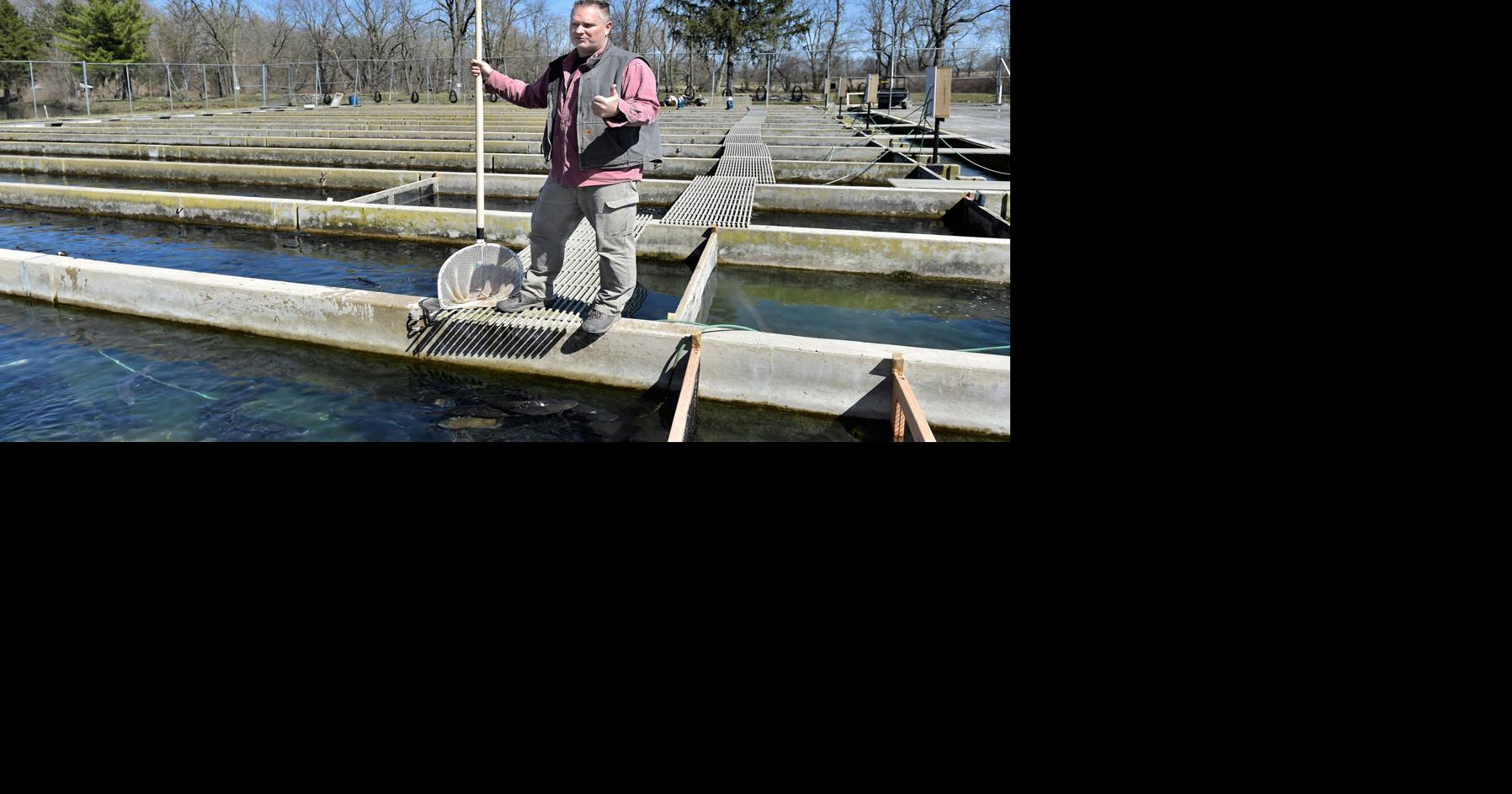 Trout grow for anglers, restaurants, markets at Limestone Springs ...