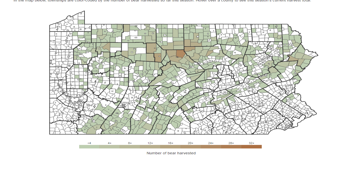 Game Commission map tracks black bear harvest in Pennsylvania | Local ...