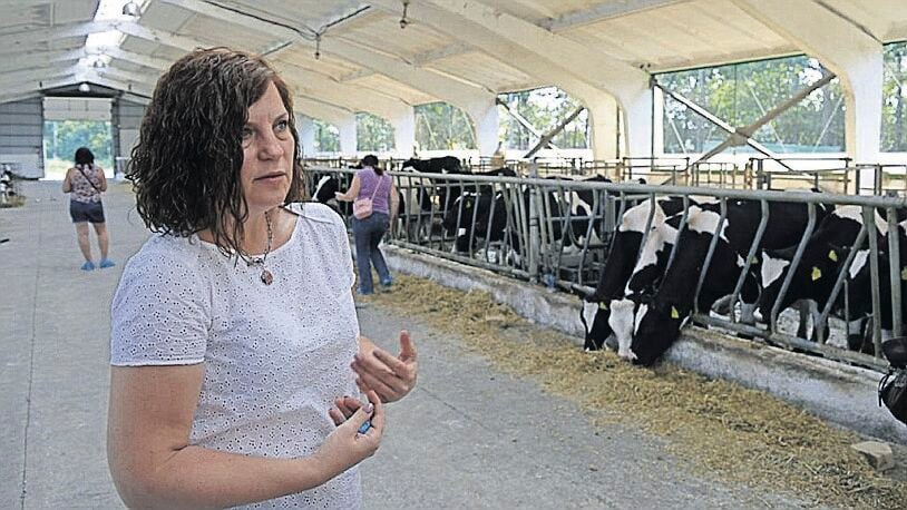 Ukraine dairy farm struggles under invasion while providing food to its ...