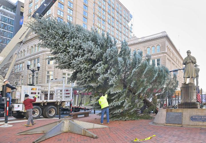 Christmas tree arrives in downtown Lancaster city [photos] | Local News ...