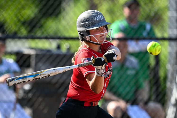Annville-Cleona vs. Donegal - L-L League softball semifinals [photos ...