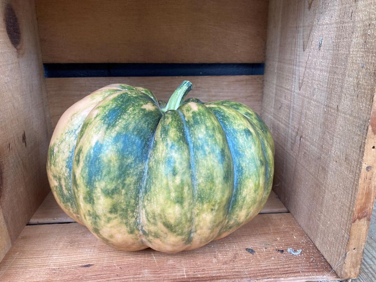 A guide to eight varieties of locally grown winter squash, including ...
