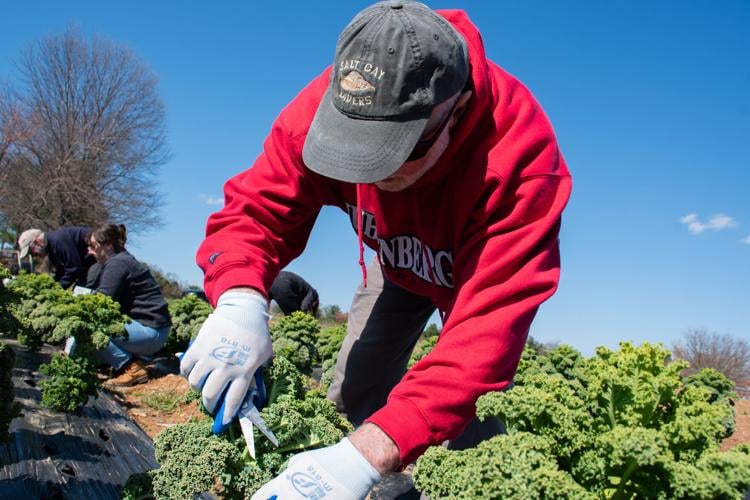 Lancaster Farmland Trust Farm to Pantry Project [photos ...
