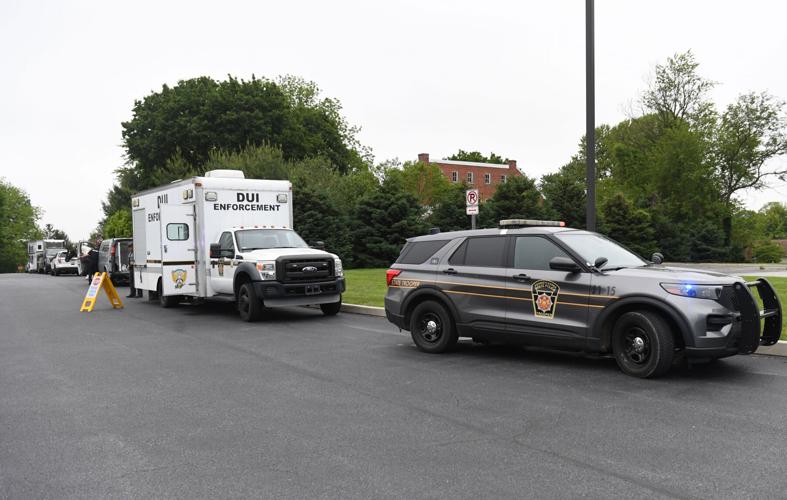Sunny Day Camp returns to Lancaster County for 2023 [photos] | Local ...