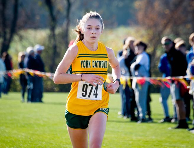2022 District 3 cross country championships [photos] | High School ...