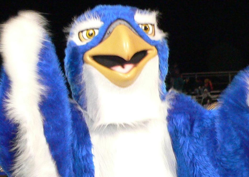 What's the origin, history of high school mascots in the Lancaster ...