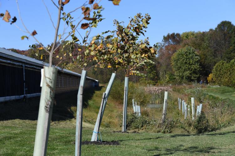 Conservation Improvements at Eckman Acres Farm in Peach Bottom [photos ...