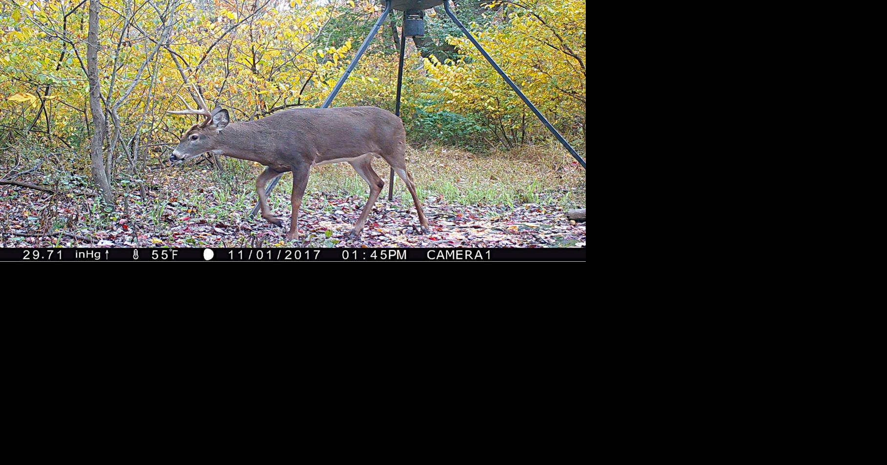 New hunting rules, doe tag numbers and season dates set for 2018-19 ...