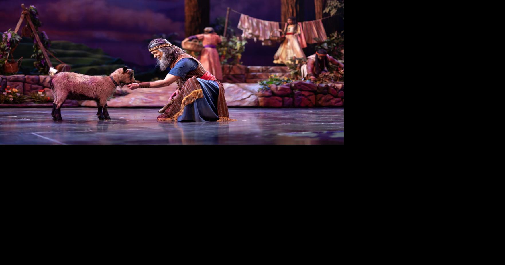 In Sight & Sound's 'Noah,' trained animal cast members are 'part of ...