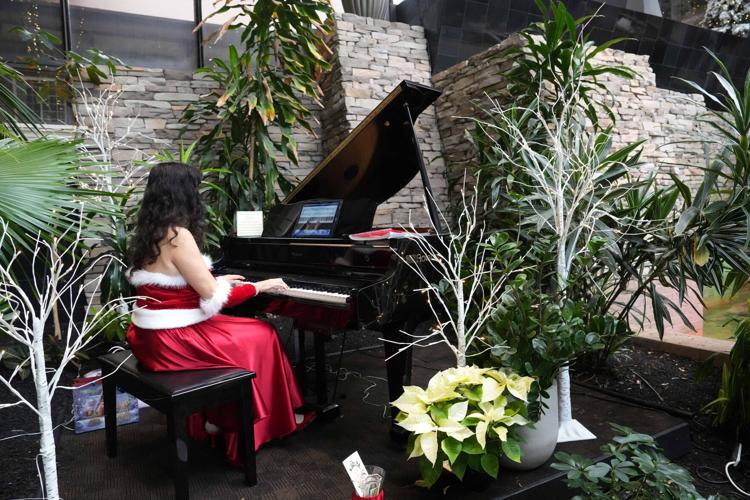 Christmas Day brunch at Eden Resorts & Suites [photos ...