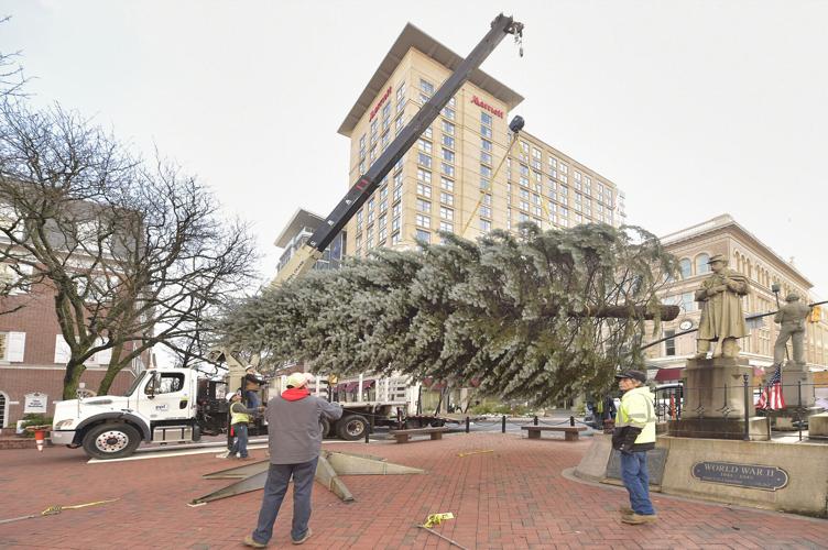Christmas tree arrives in downtown Lancaster city [photos] | Local News ...